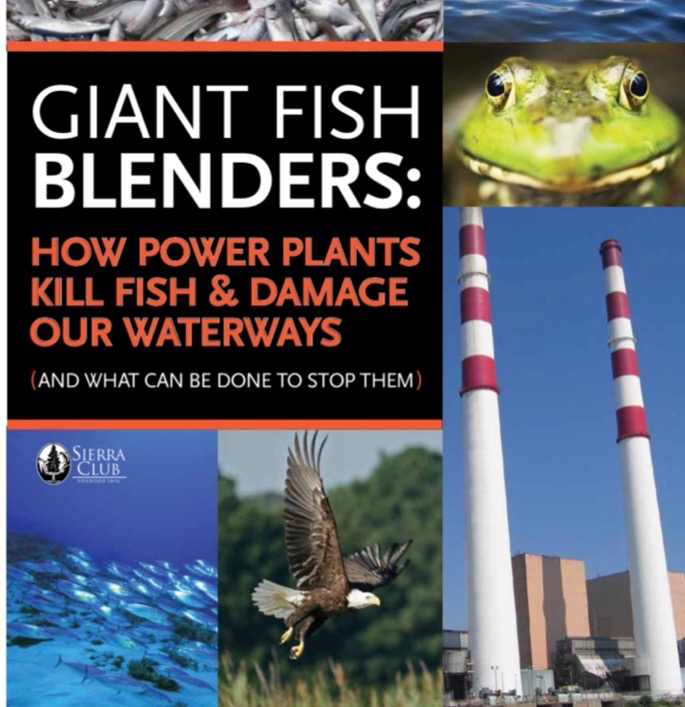 State Granted Greenidge Fast-Track Startup and ‘The OK’ to Mangle Fish ...