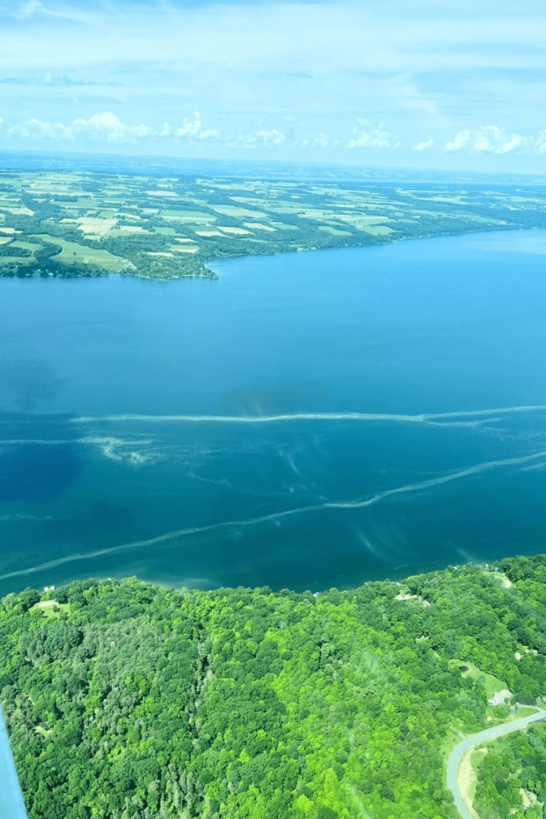 Region’s HABs Season Gets an Early Start With Widespread Bloom ...